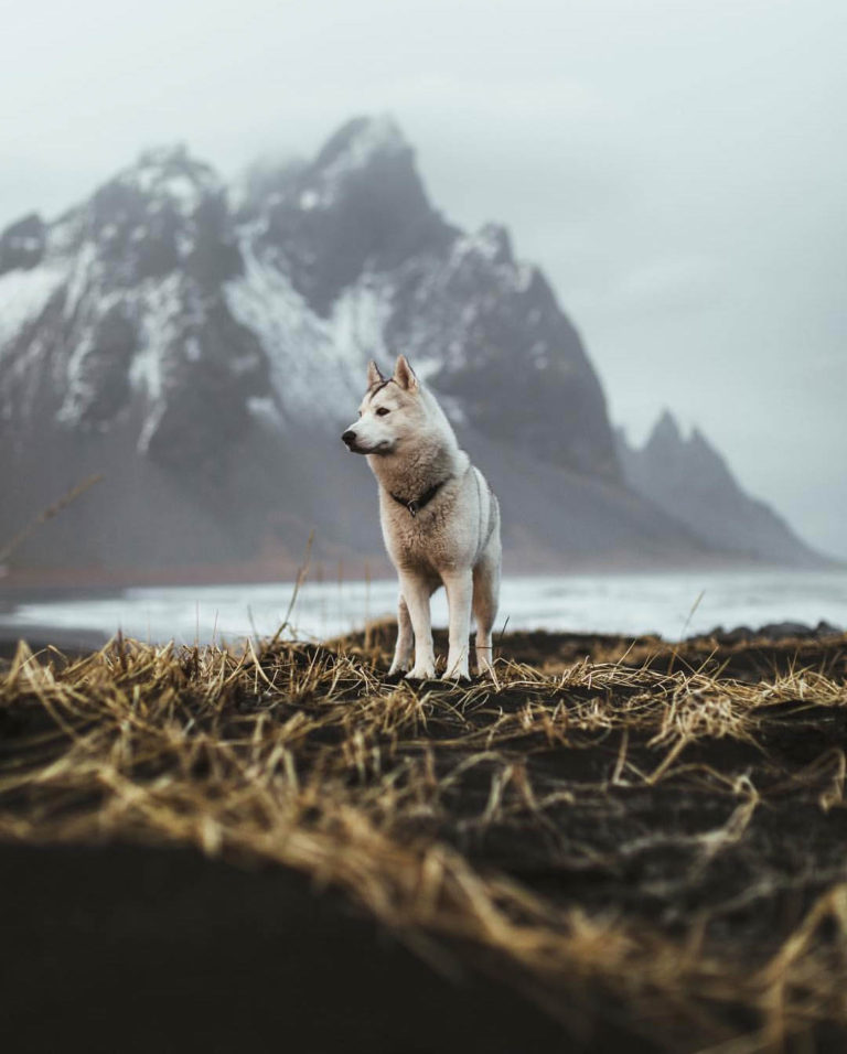 Daniel Casson @dpc_photography_ Landscape photographer based in the United Kingdom - NOMADICT