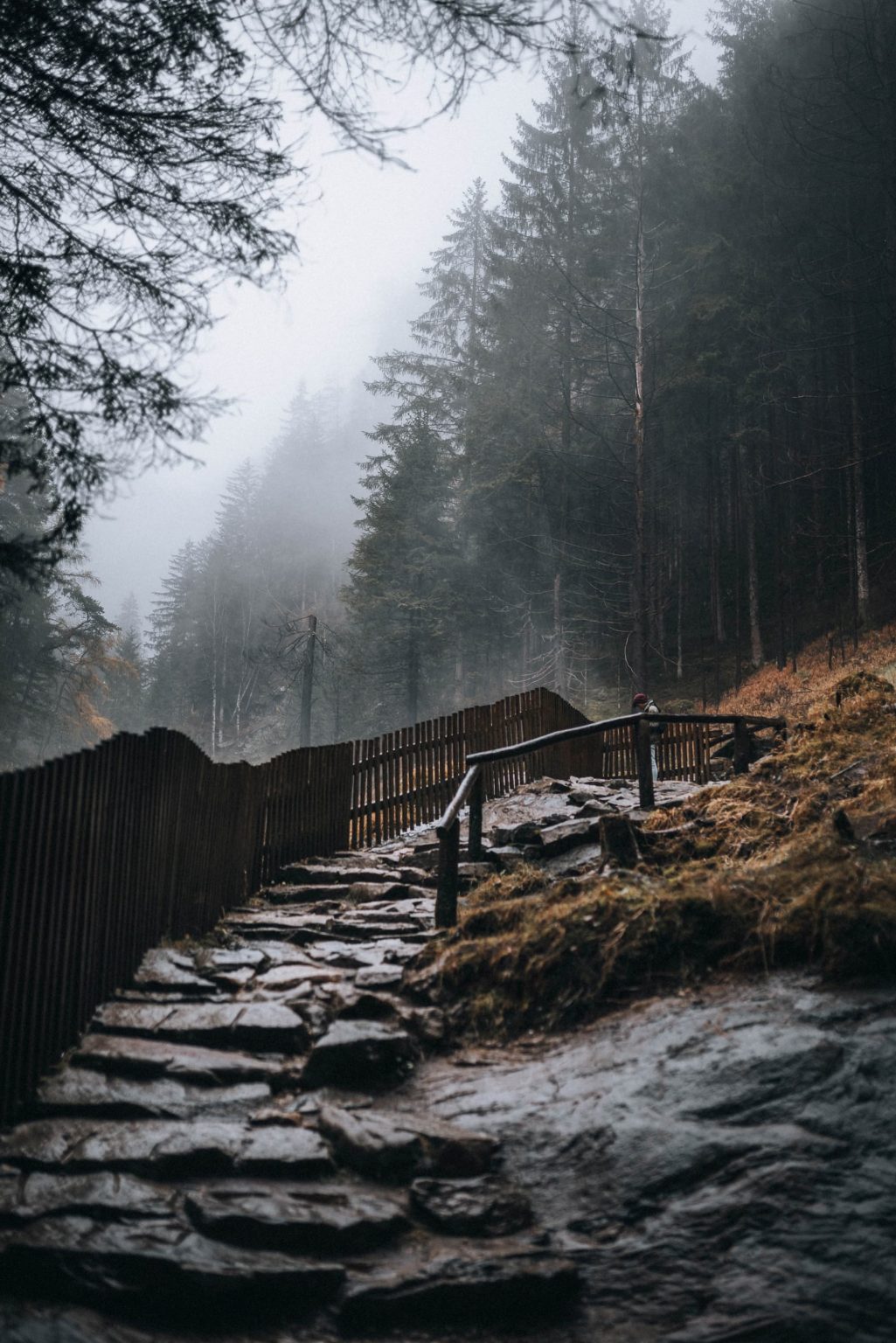 Sandra Hays @sd.hays Landscape photographer based in France - NOMADICT
