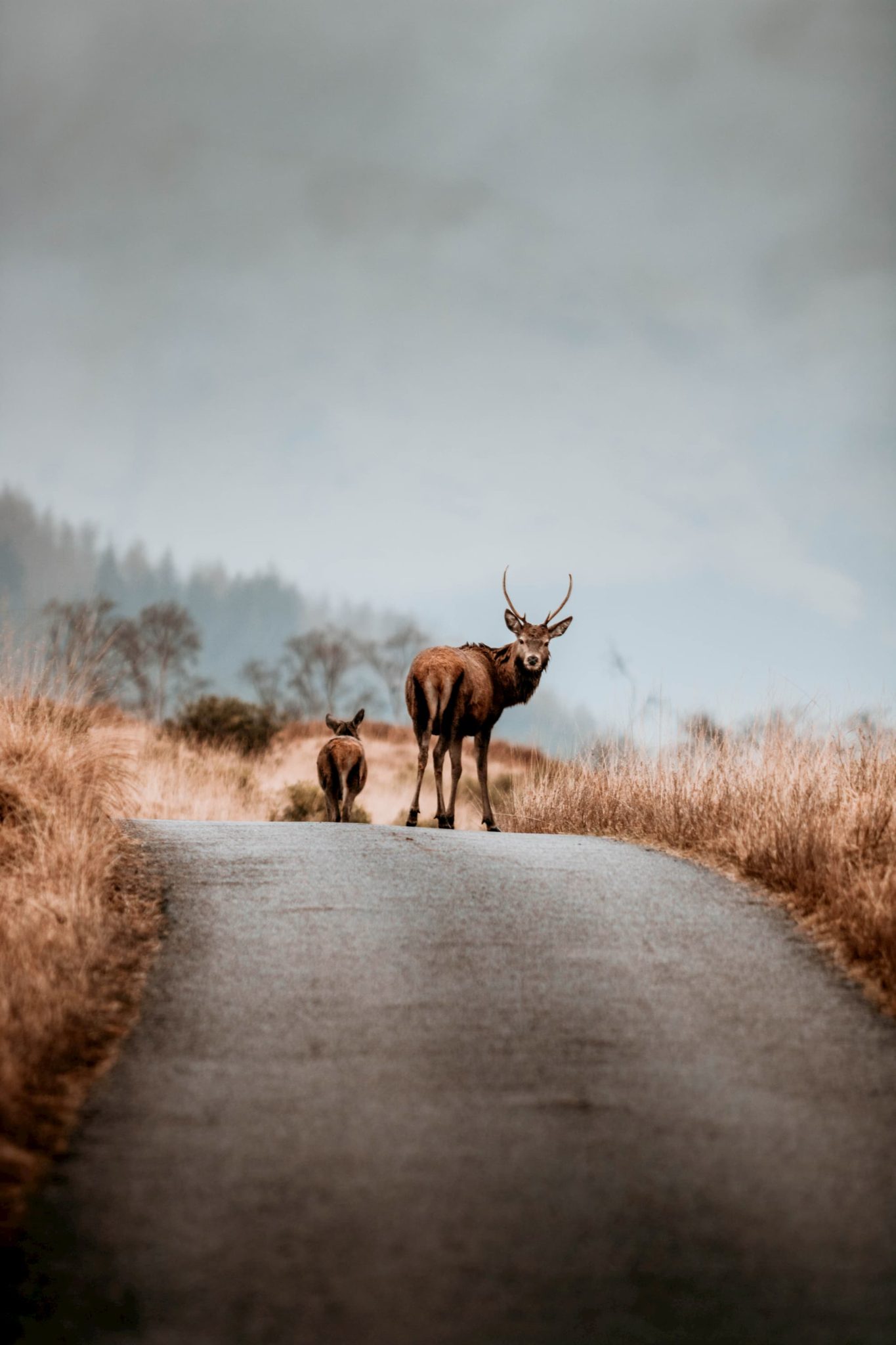 Buttery Visuals @buttery.visuals Visual creative based in Scotland ...