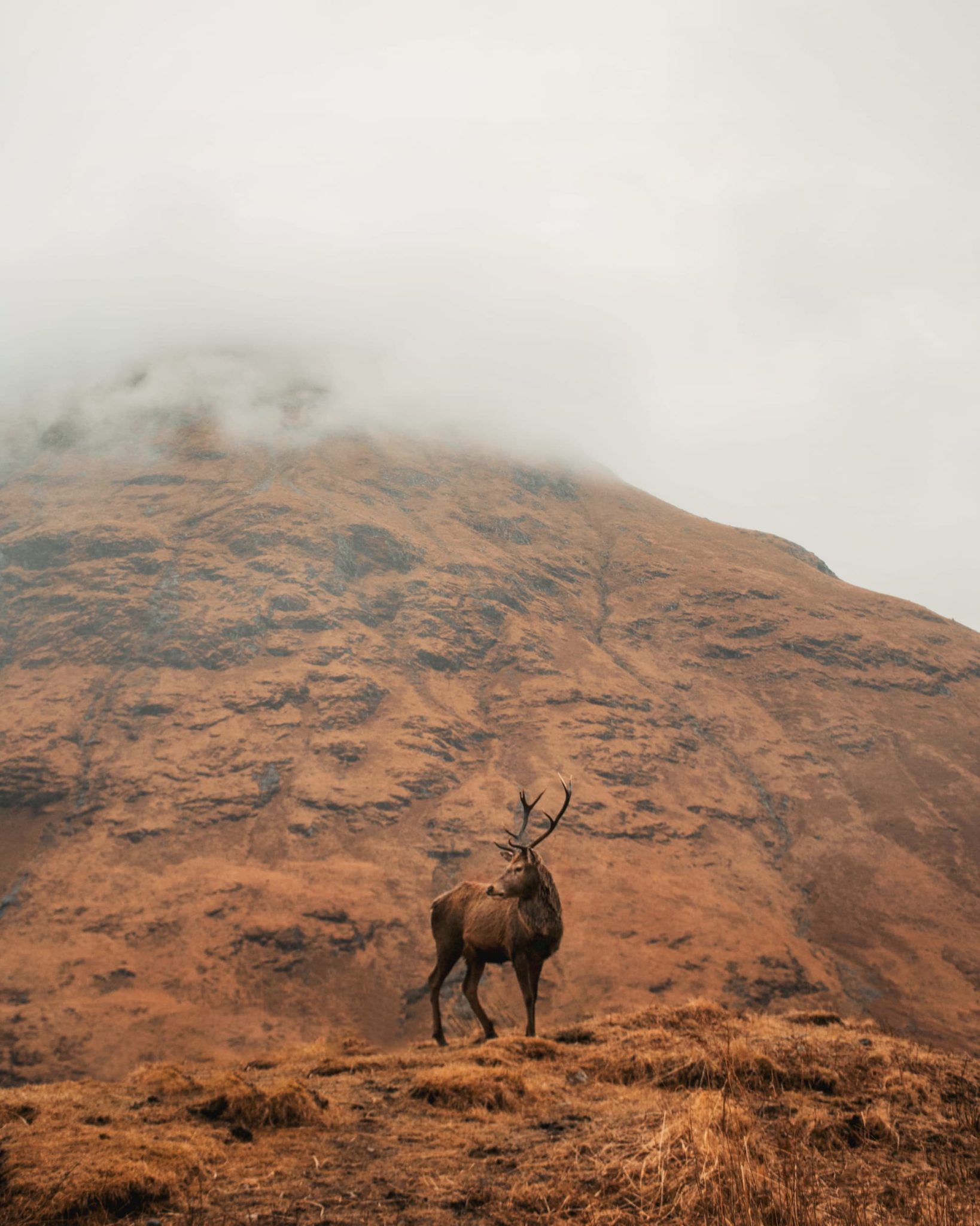 Buttery Visuals @buttery.visuals Visual creative based in Scotland ...