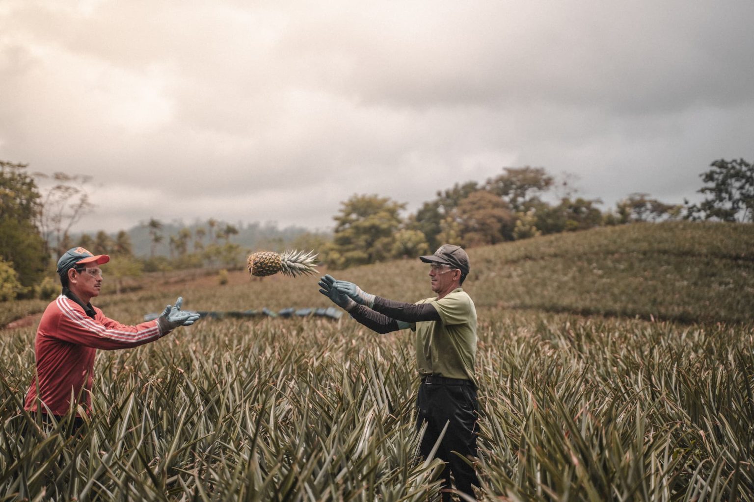 Linard Baer @linard_b Landscape photographer based in Switzerland ...