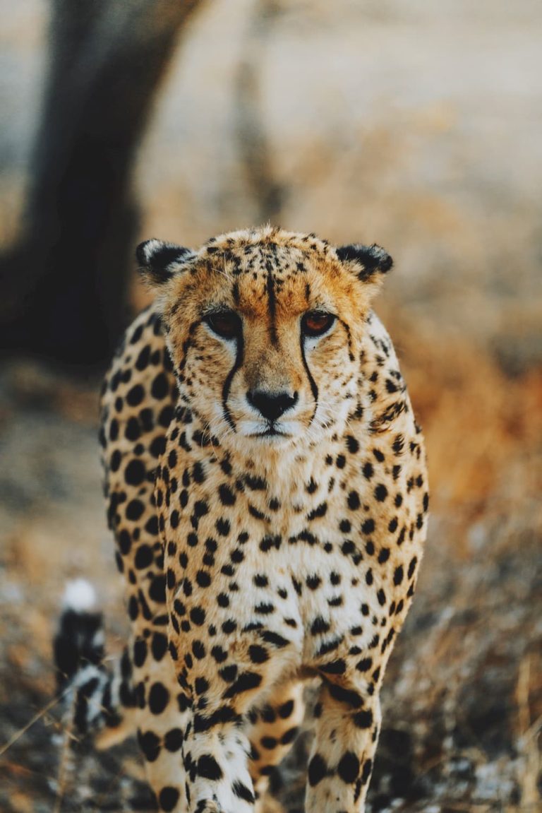 Daniel Casson @dpc_photography_ Landscape photographer based in the ...