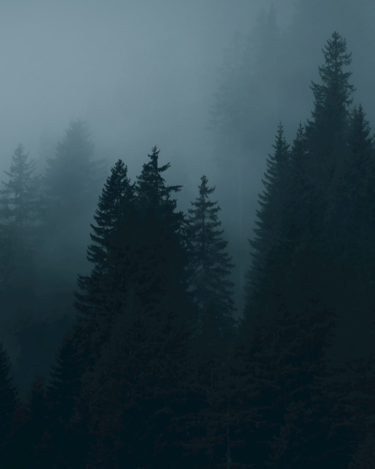 Michael Pranger @pranger_michael Landscape photographer based in ...