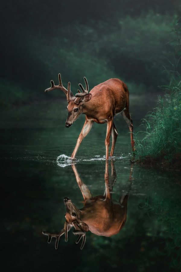 Dave Sandford (@davesandford): Photographer based in Canada