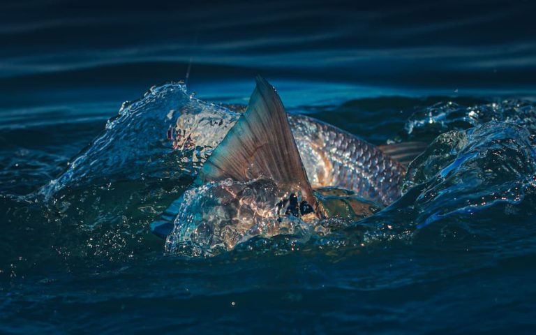 Mac Elliott @macelliottmedia Photographer based in the US - NOMADICT