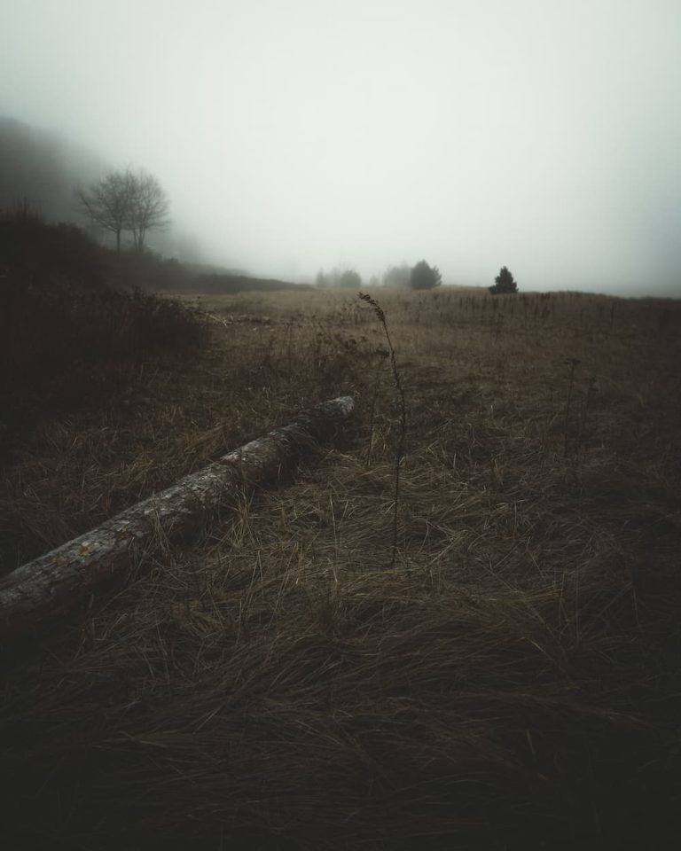 John Scheibe @yonderjohn Landscape photographer based in the US - NOMADICT