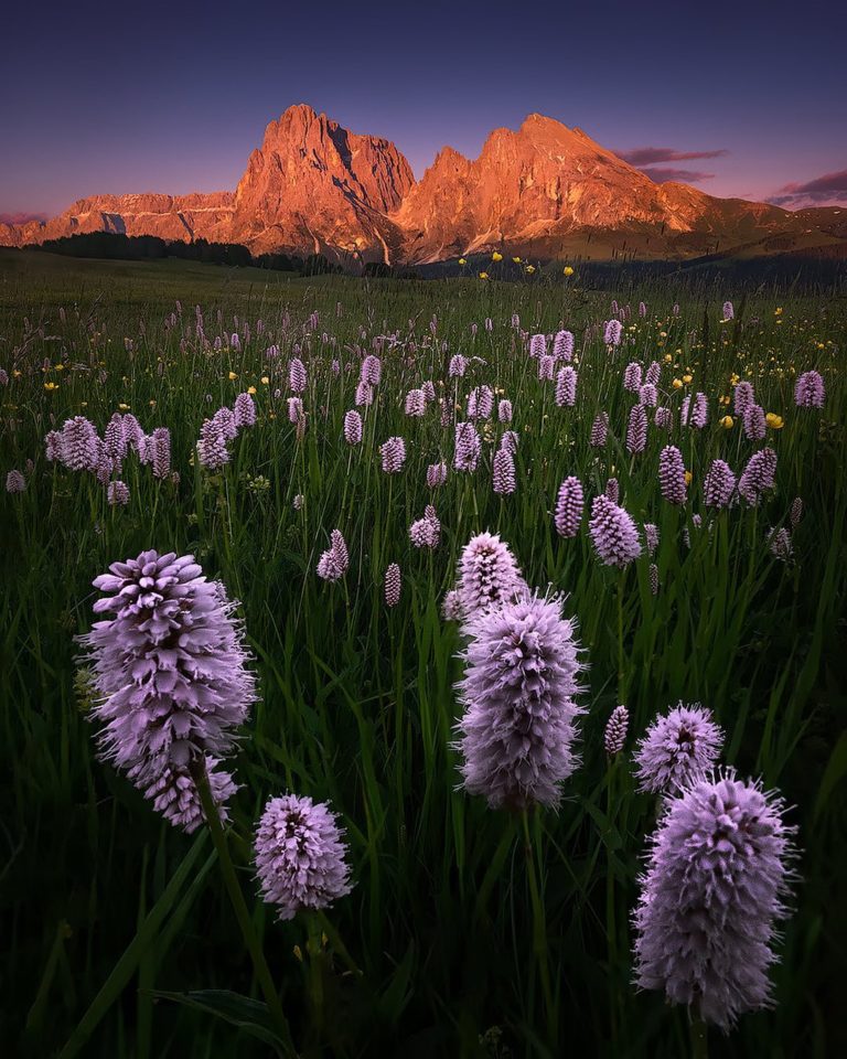 Isabella Tabacchi @isabellandscapes Landscape photographer based in ...