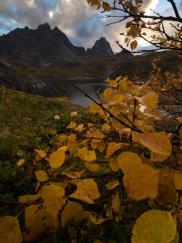 Isabella Tabacchi @isabellandscapes Landscape photographer based in ...