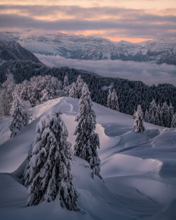 Atilla Bayraktar @loaks.photography Photographer based in Switzerland ...