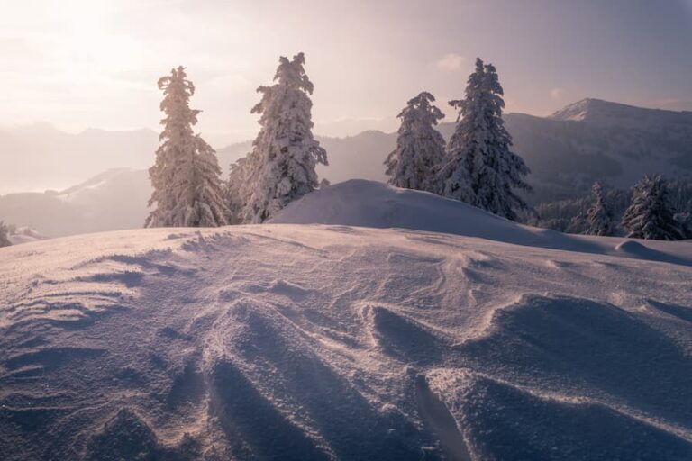 Atilla Bayraktar @loaks.photography Photographer based in Switzerland ...