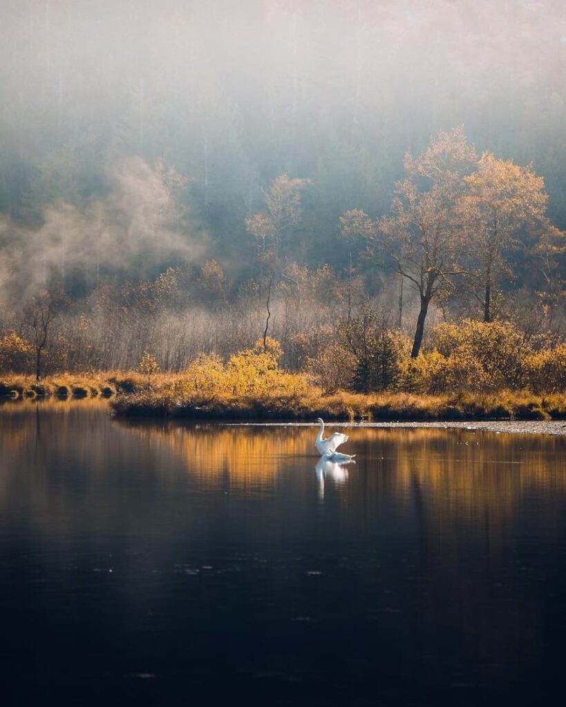 Austria’s top photography spots, forests and popular hikes - NOMADICT