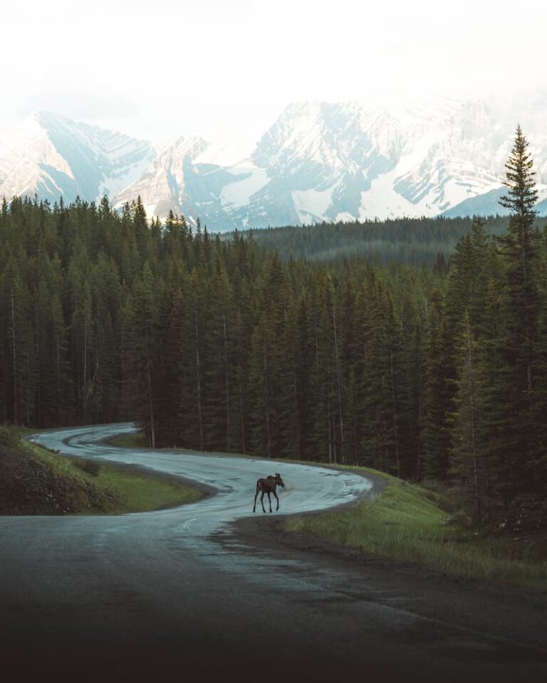 Aaron Sheffner @aaronsheffner Photographer based in Canada - NOMADICT