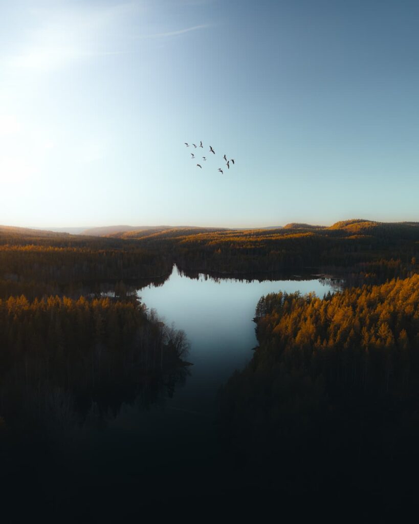 Patrick Ski Iversen @patrickskiiversen Photographer based in Norway ...