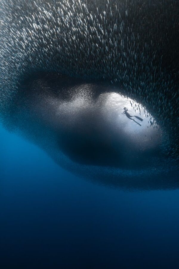 Ben Yavar (@ben.freediver): Underwater photographer based in the ...