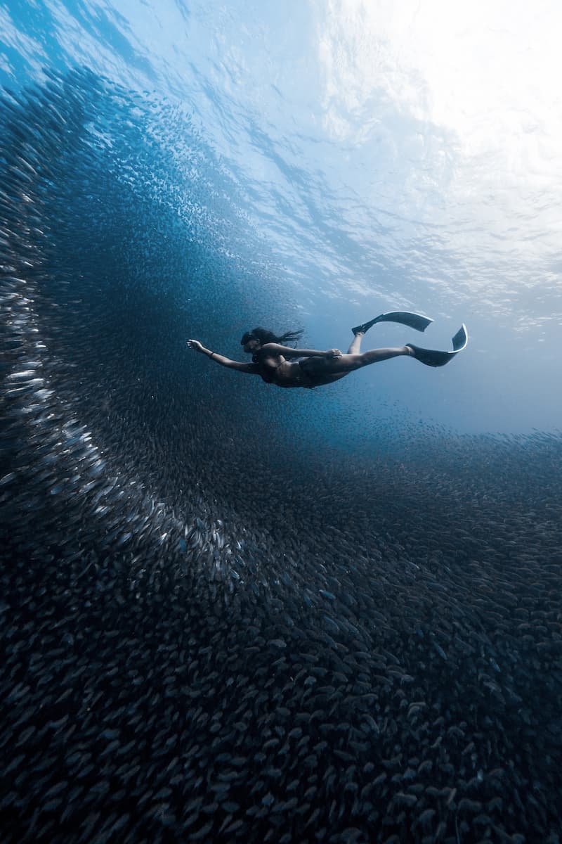 Ben Yavar (@ben.freediver): Underwater photographer based in the ...